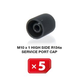 Service Port Cap M 10 x 1 High Side R134a (5 pcs. Pack)